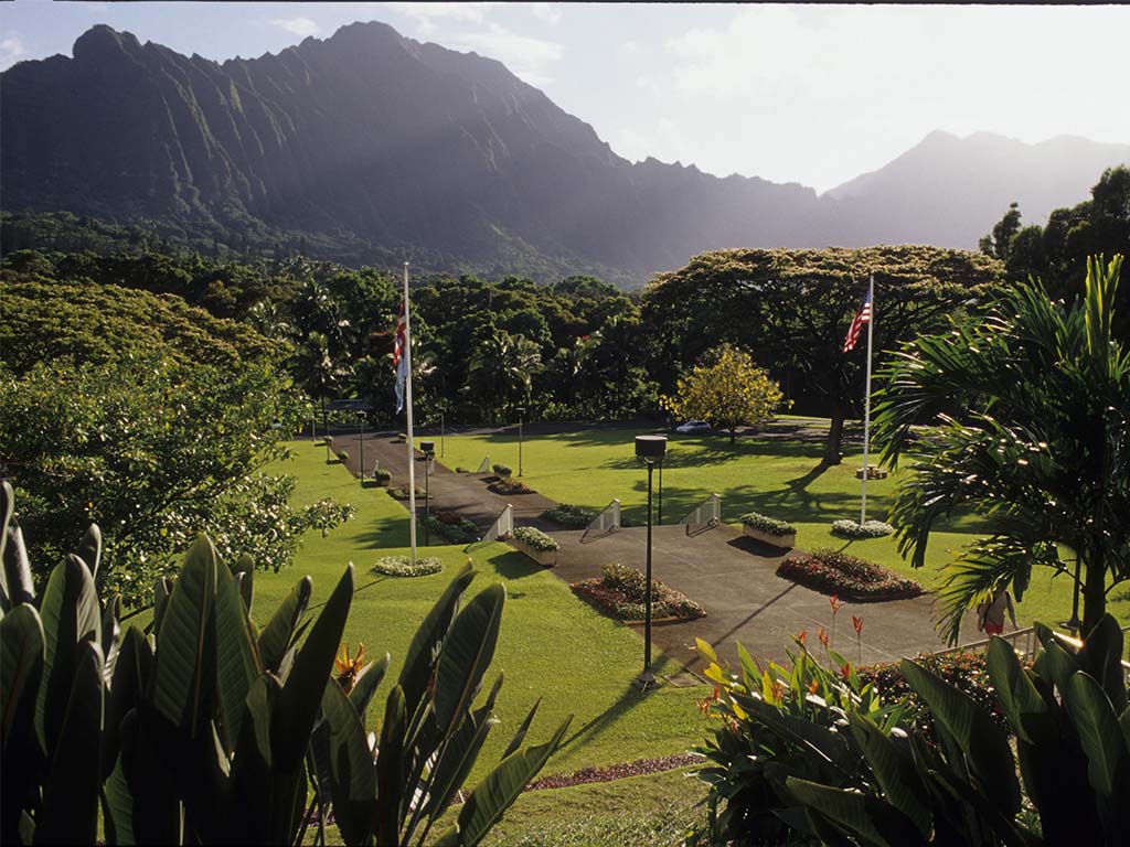 The 'Ohana | News Archives