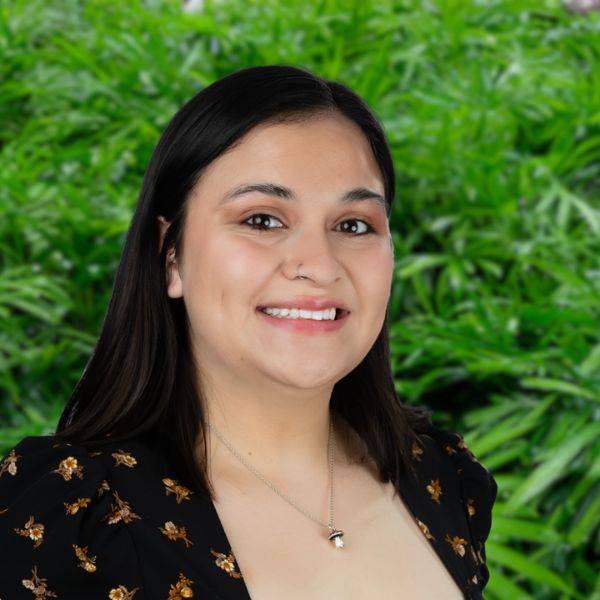 Doctor of Physical Therapy - Program Overview